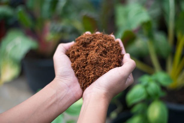 10 Liter Coco Coir loose – Nordic Hydro